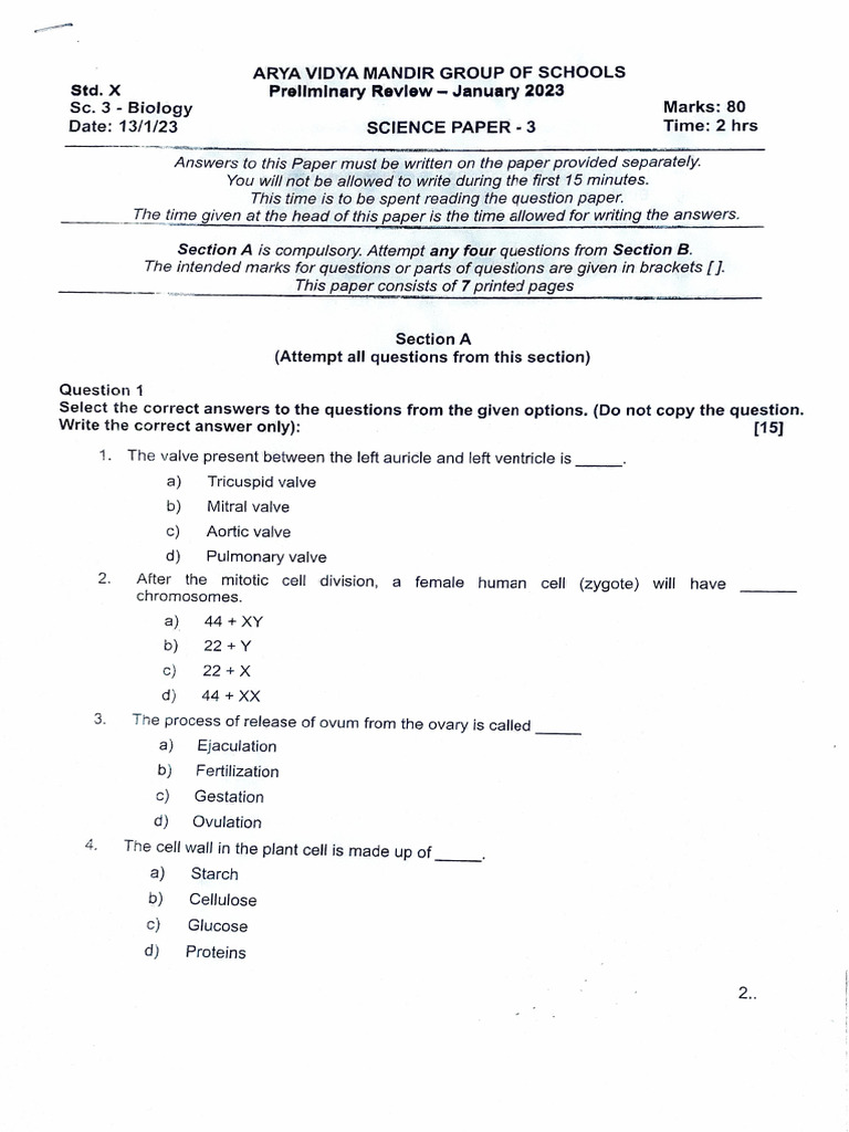 AVM Prelim Bio | PDF | Heart Valve