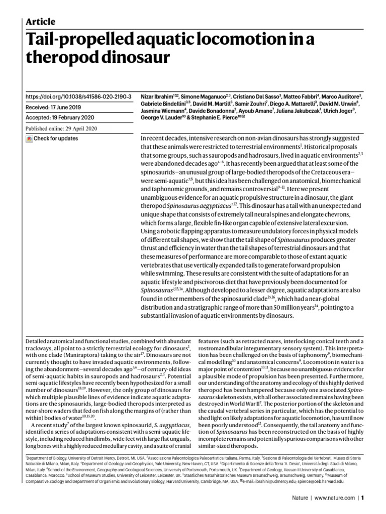 Tail-Propelled Aquatic Locomotion in A Theropod Dinosaur - Spinosaurus ...