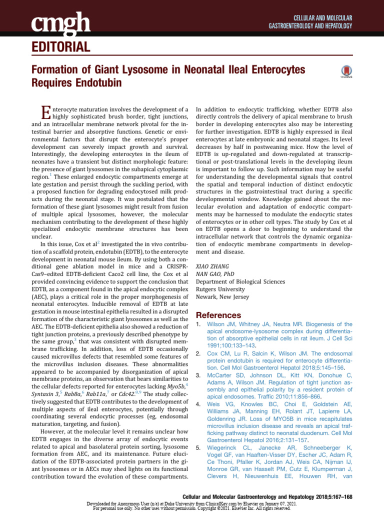 LRE Lysosome Formation Requires Endutubin | PDF | Lysosome | Cell Biology