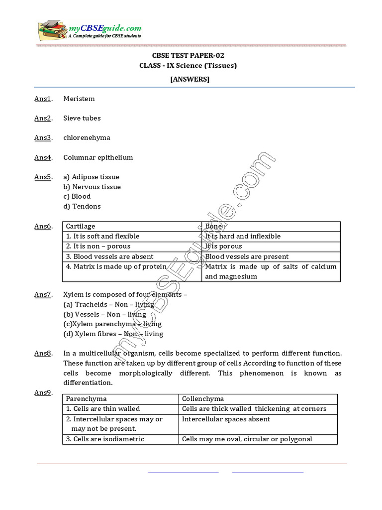 9 Science Tissues Test 02 Answer n6c3 | PDF | Tissue (Biology) | Histology