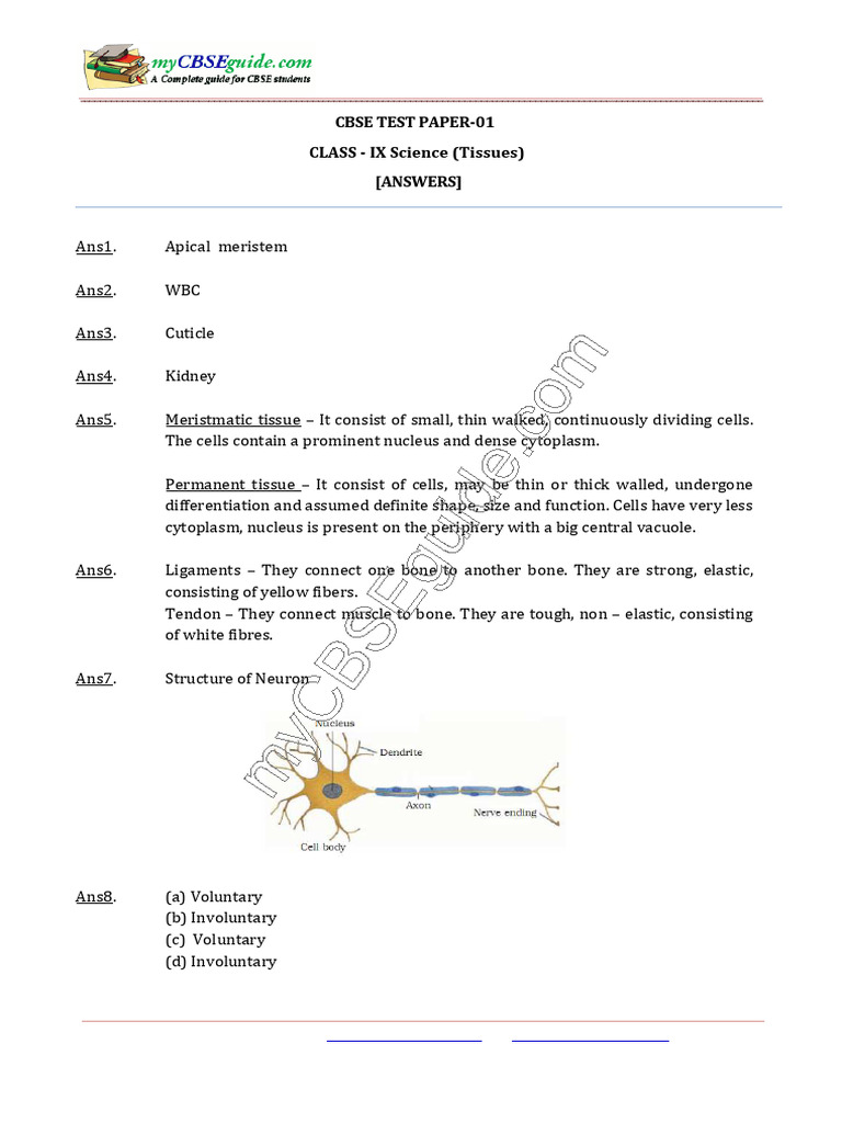 9 Science Tissues Test 01 Answer n7s | PDF | Tissue (Biology) | Muscle