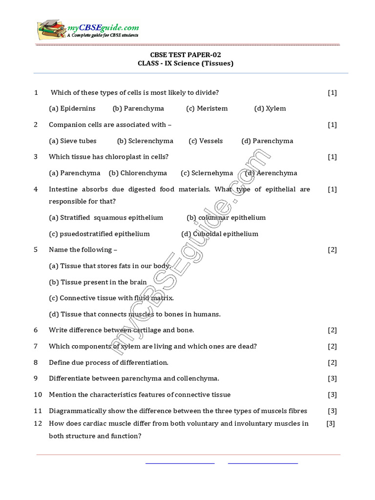 9 Science Tissues Test 02 | PDF