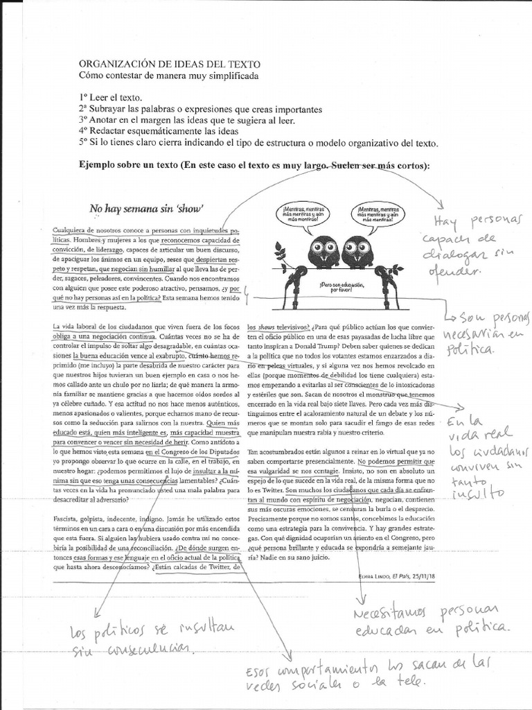CCT Organización de Ideas Ejemplo Básico Con Anotaciones | PDF