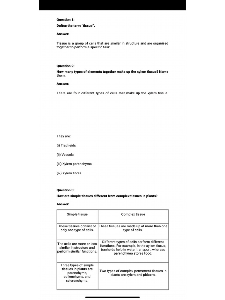 Chapter Tissue Class 9th. | PDF