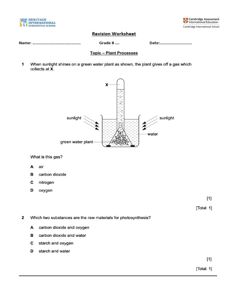 Revision Worksheet - 2 Grade 8 | PDF