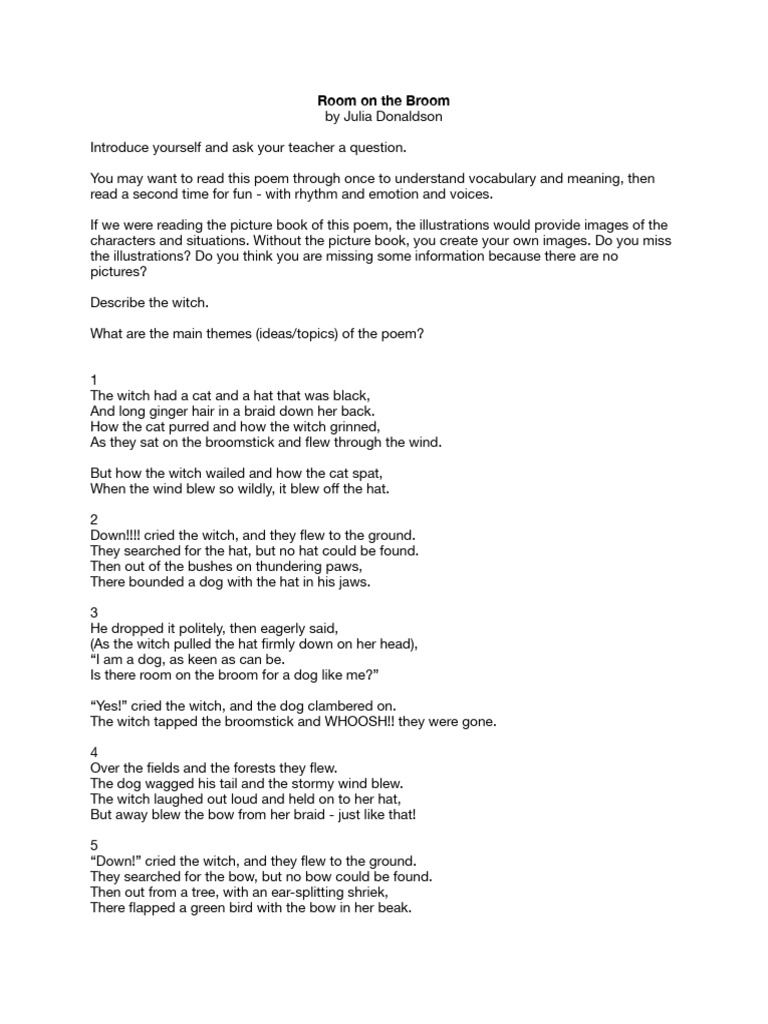 Room on the Broom: Poem Analysis Guide | PDF