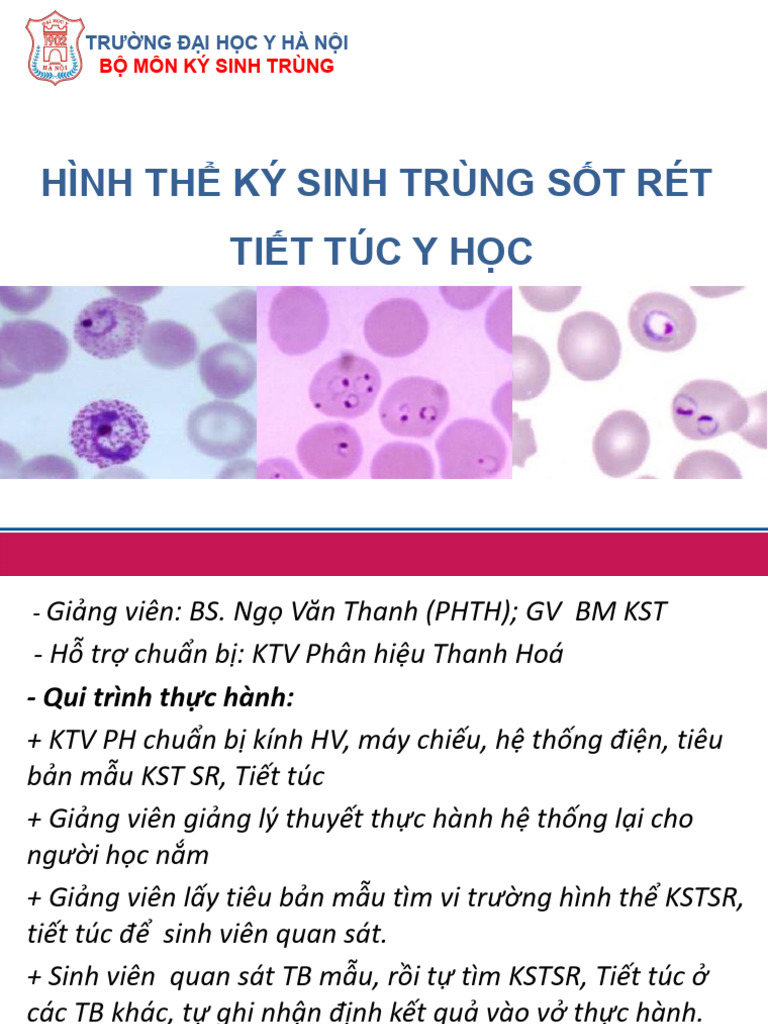 LAB 4 Ngoc BM+ SoanBs (Giag T11-21) Svien | PDF