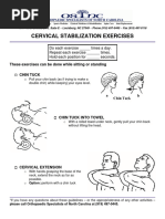 Cervical Isometric Strengthening Guide | PDF