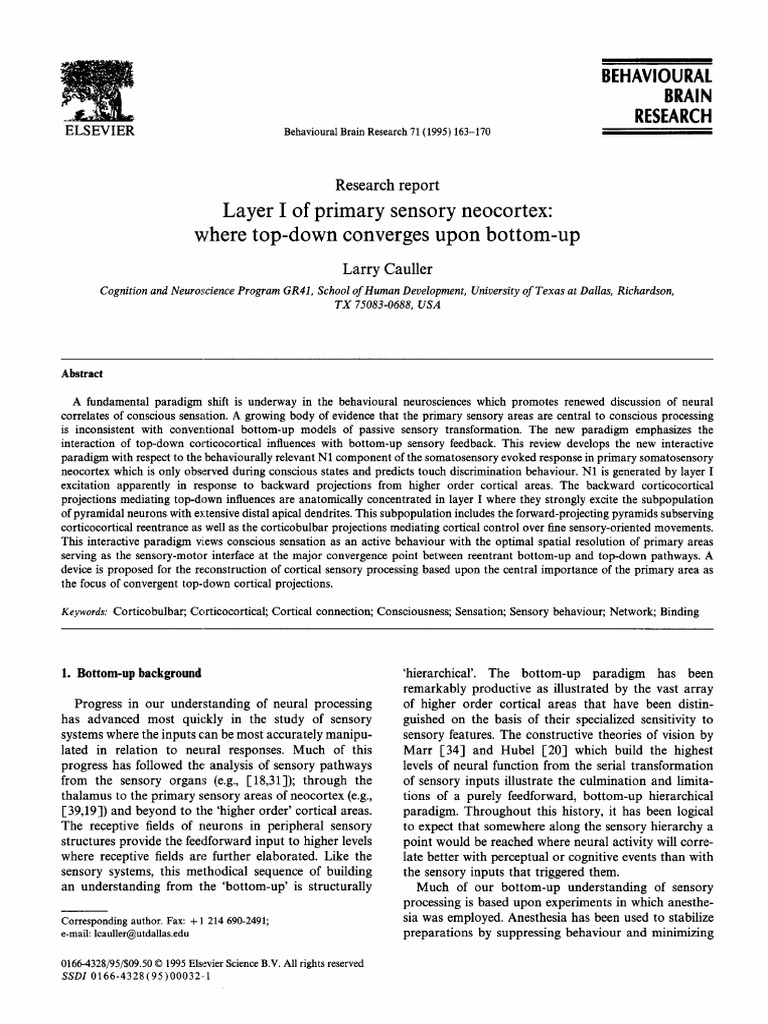 Layer I of Primary Sensory Neocortex - Where Top-Down Converges Upon ...