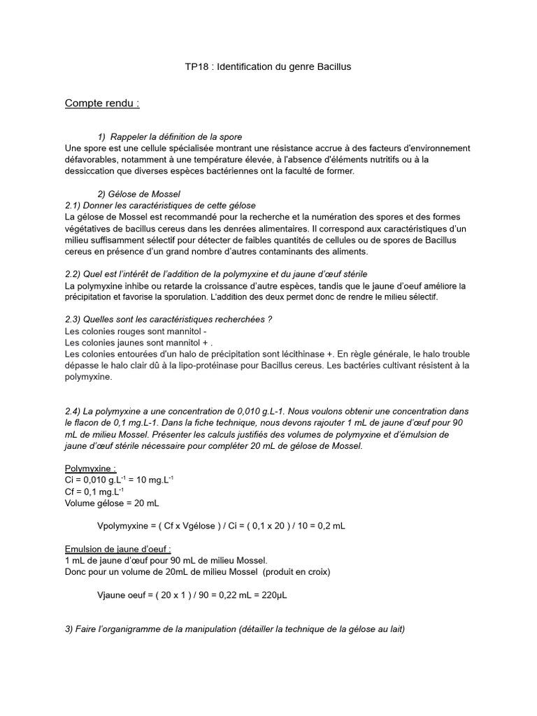 Compte Rendu:: TP18: Identification Du Genre Bacillus | PDF | Spore | Bacille