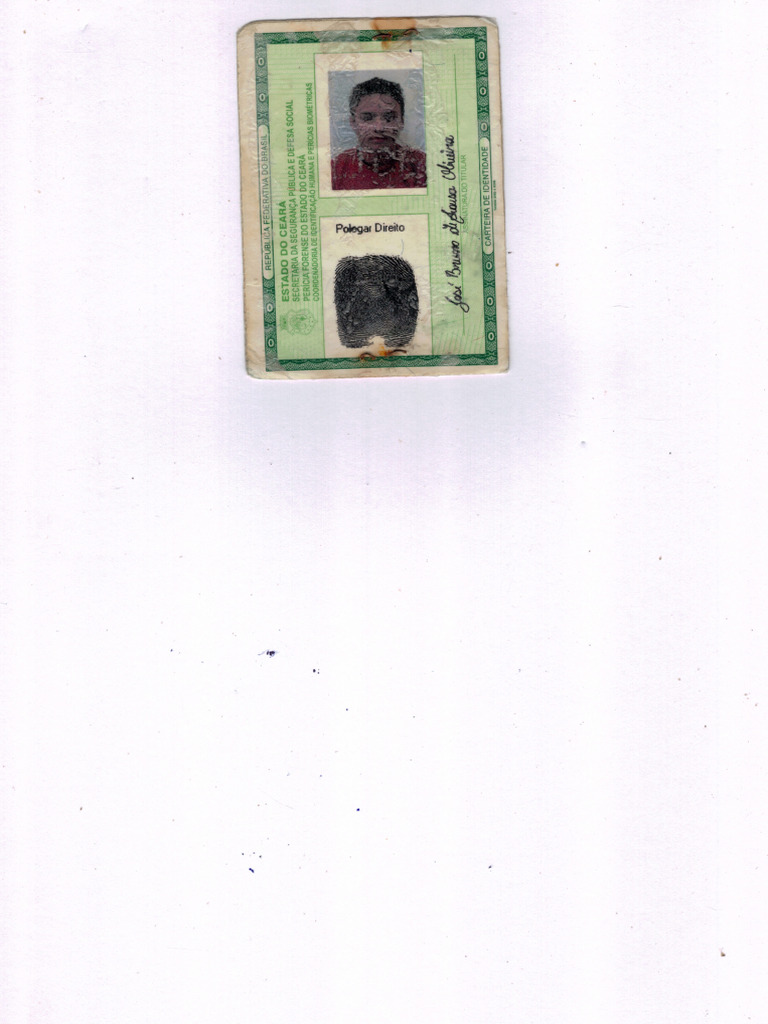 PP Bruno Sousa | PDF