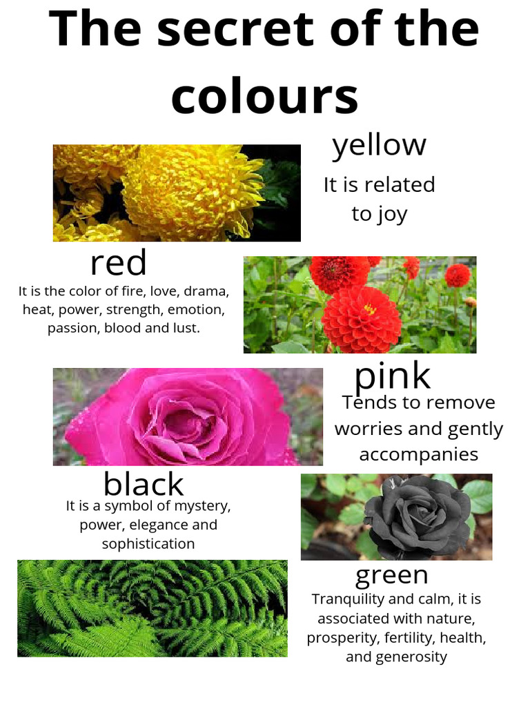The Secret of The Colours | PDF