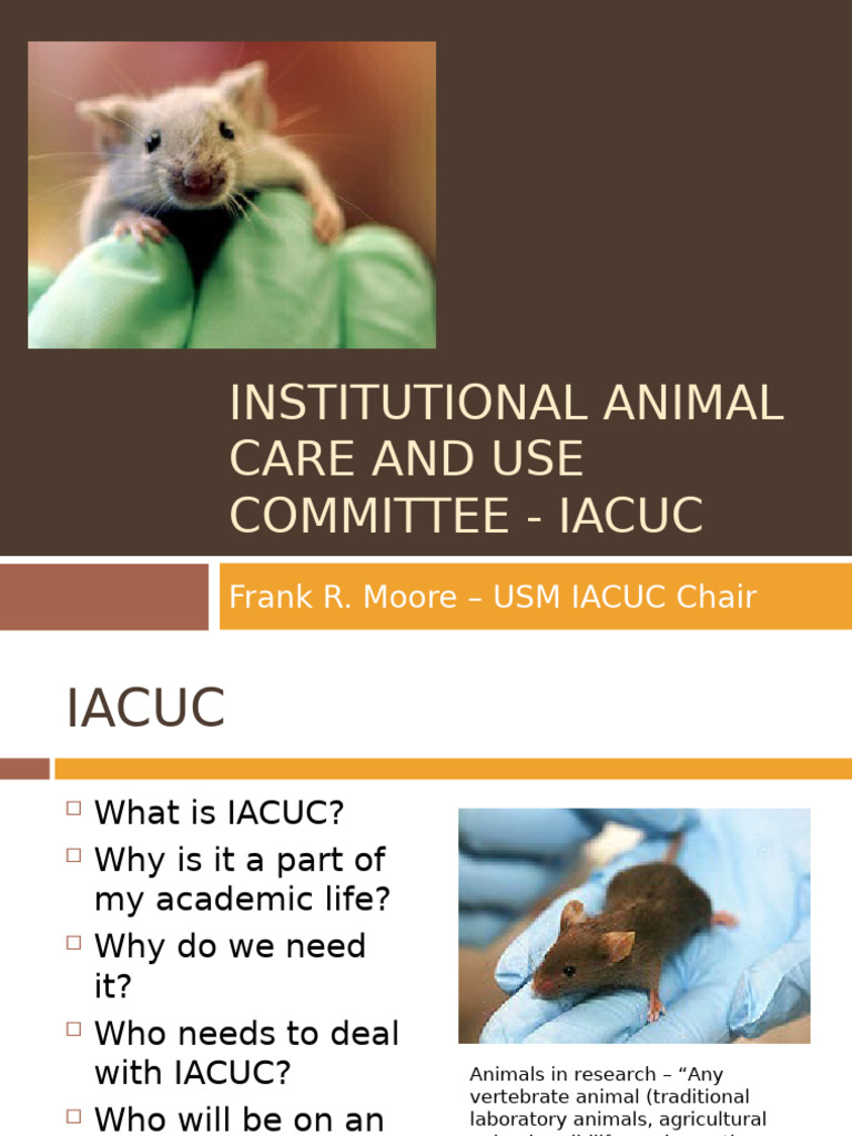 Institutional Animal CARe and Use Committee - IACUC | PDF | Animals And ...