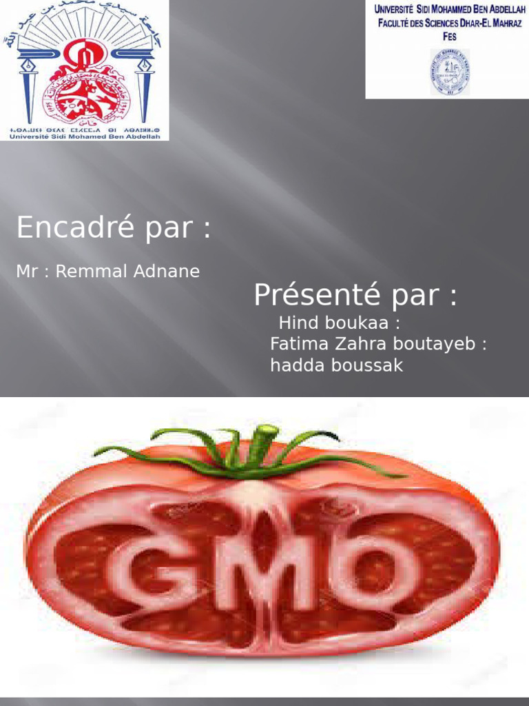 2 La Technique d'OGM (Organisme Génétiquement Modifié) | PDF ...