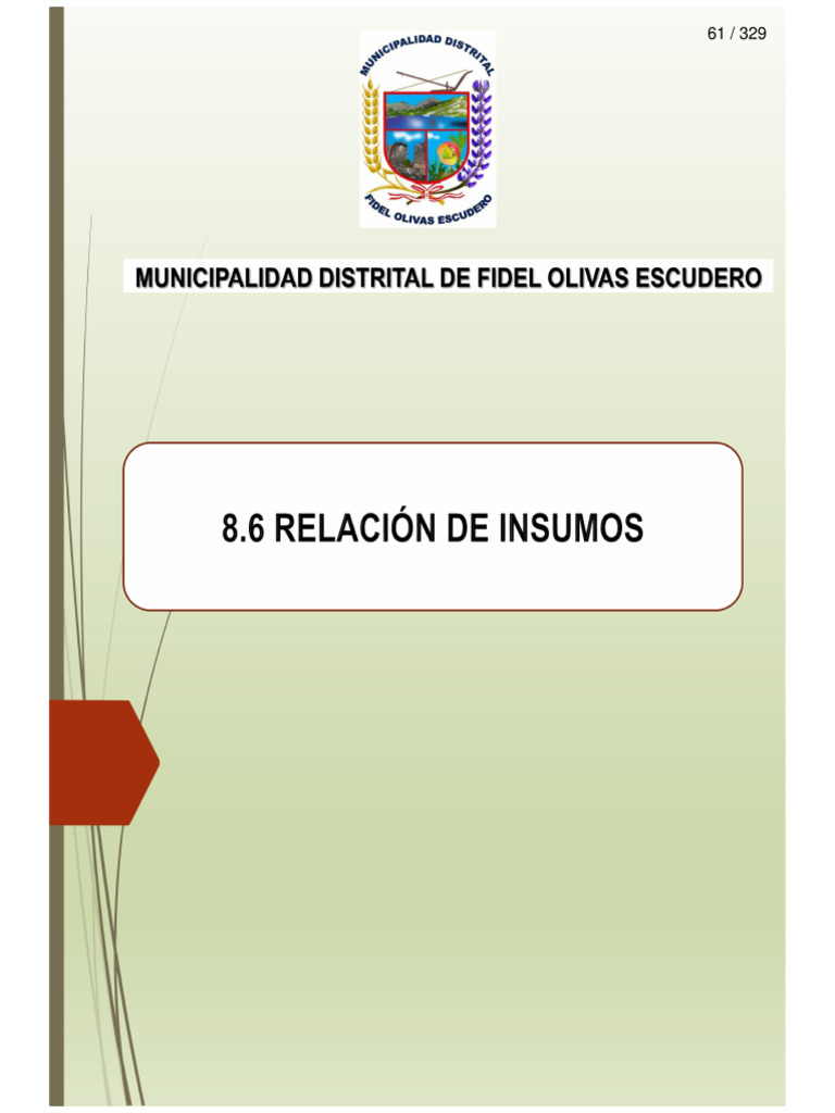 7+relacion+de+insumos 20241029 105950 549 | PDF