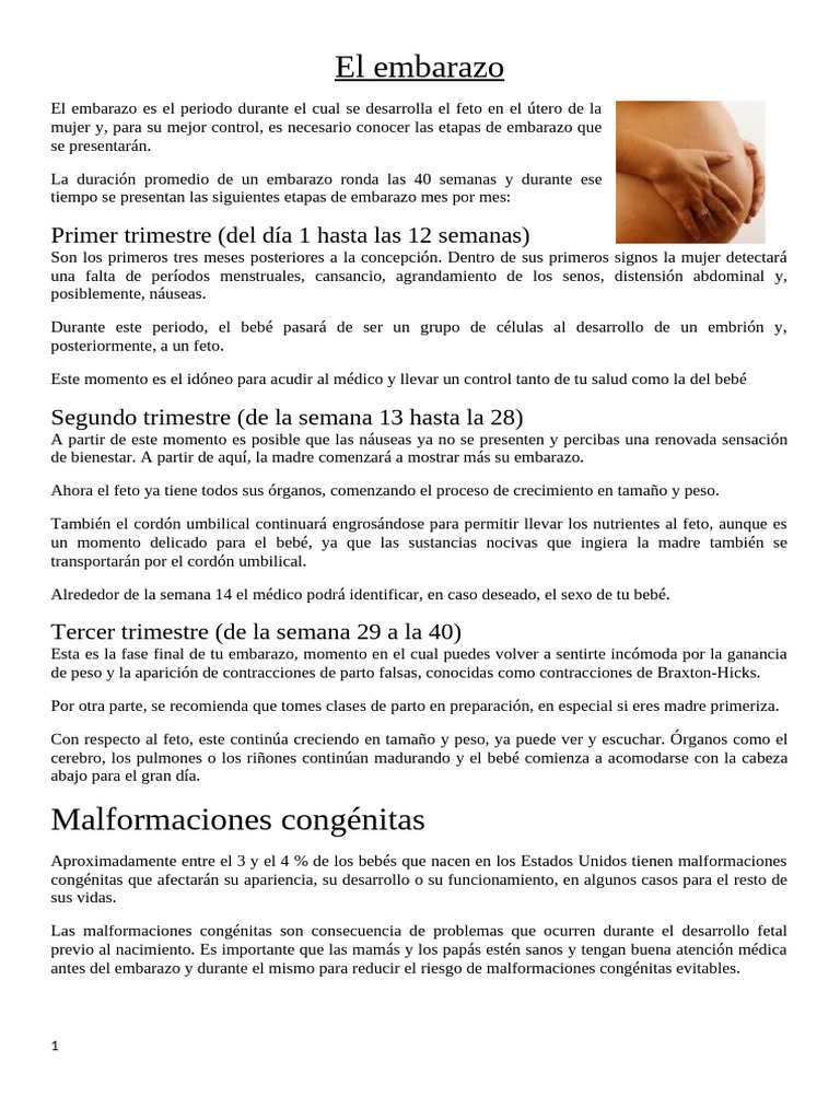 El Embarazo | PDF | El embarazo | Feto