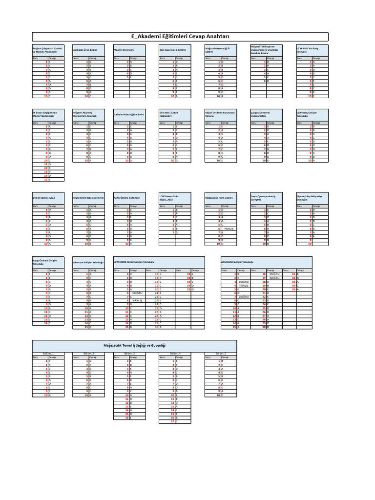 E - Akademi Eğitimleri Cevap Anahtarı | PDF