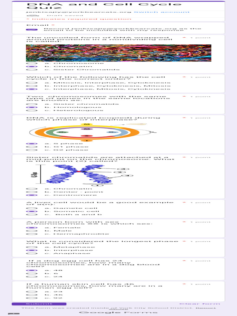 DNA and Cell Cycle Quiz | PDF