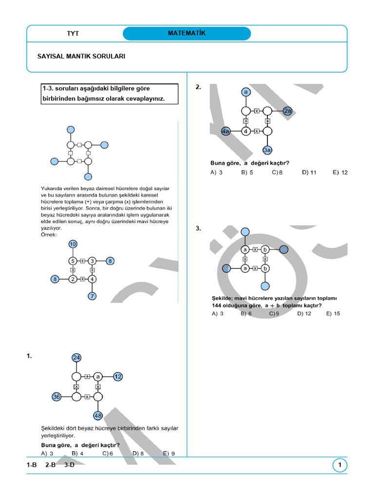 Sayisal Mantik 2 | PDF