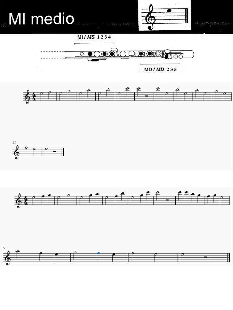 Ejercicio Nota MI Medio | PDF