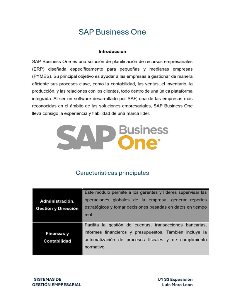 SAP Business One | PDF | Planificación de recursos empresariales | Business