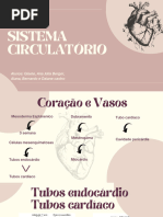 Anatomia do Sistema Venoso Ázigo | PDF | Fígado | Abdômen