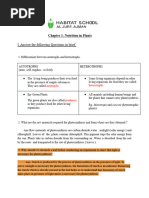 Nutrition in Plants Class 7 Worksheet Science Chapter 1 | PDF