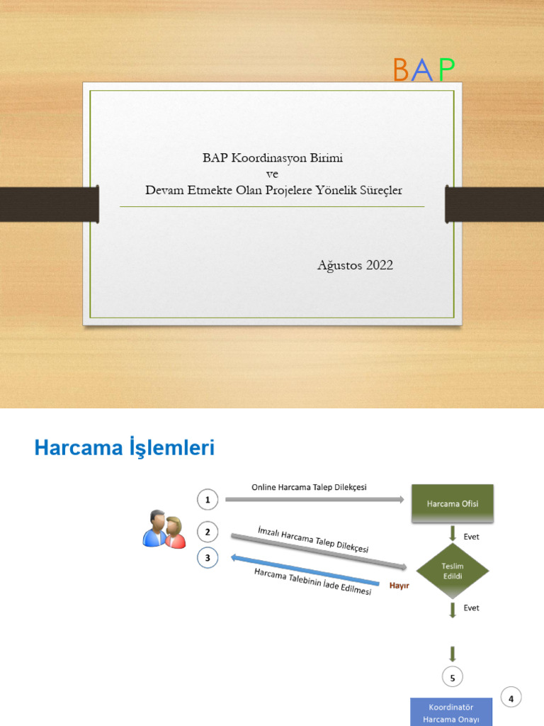 Proje Kapsamında Mal-Malzeme-Hizmet Alımı Kılavuzu | PDF