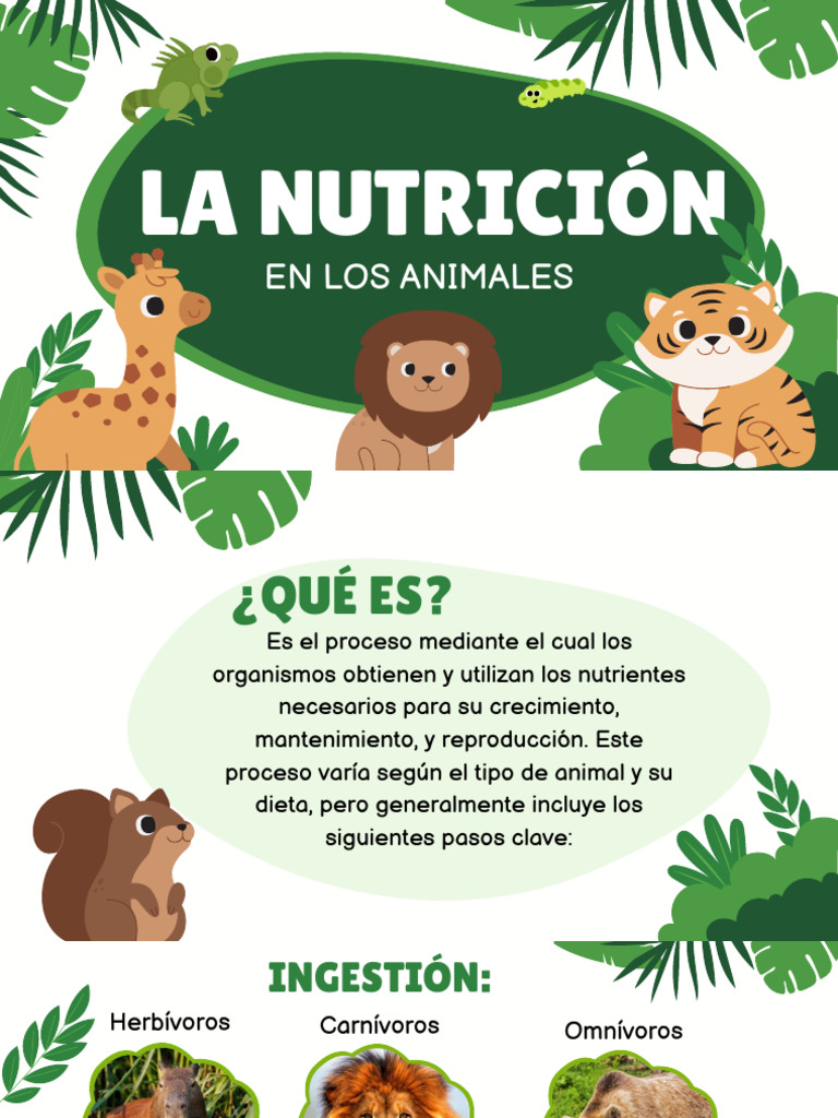 La Nutrición en Los Animales | PDF | Digestión | Metabolismo
