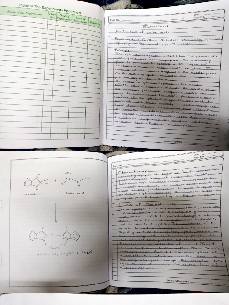 Adobe Scan 17 Nov 2024 | PDF