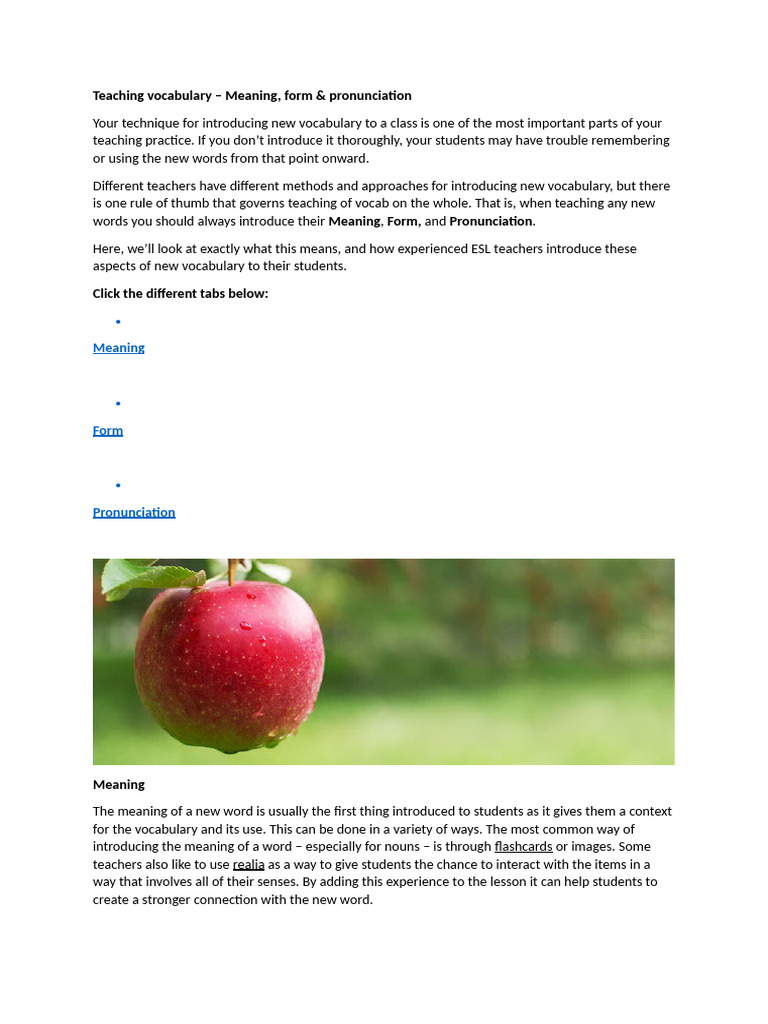 Teaching Vocabulary | PDF