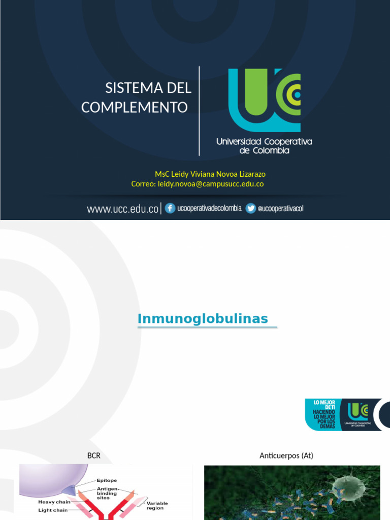 Funciones del Sistema del Complemento | PDF | Sistema complementario ...