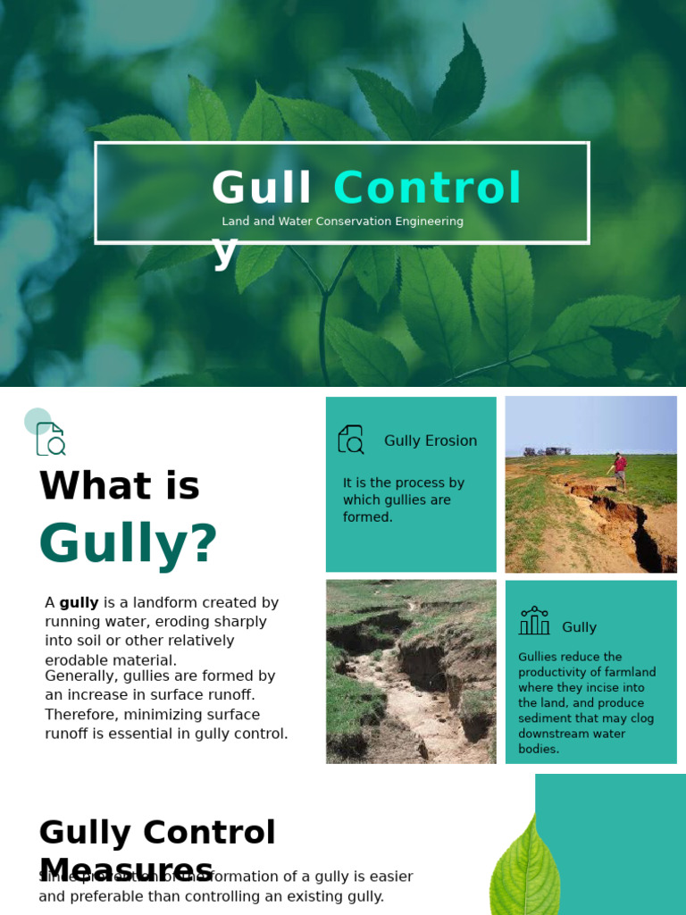 Gully Control | PDF | Spillway | Surface Runoff