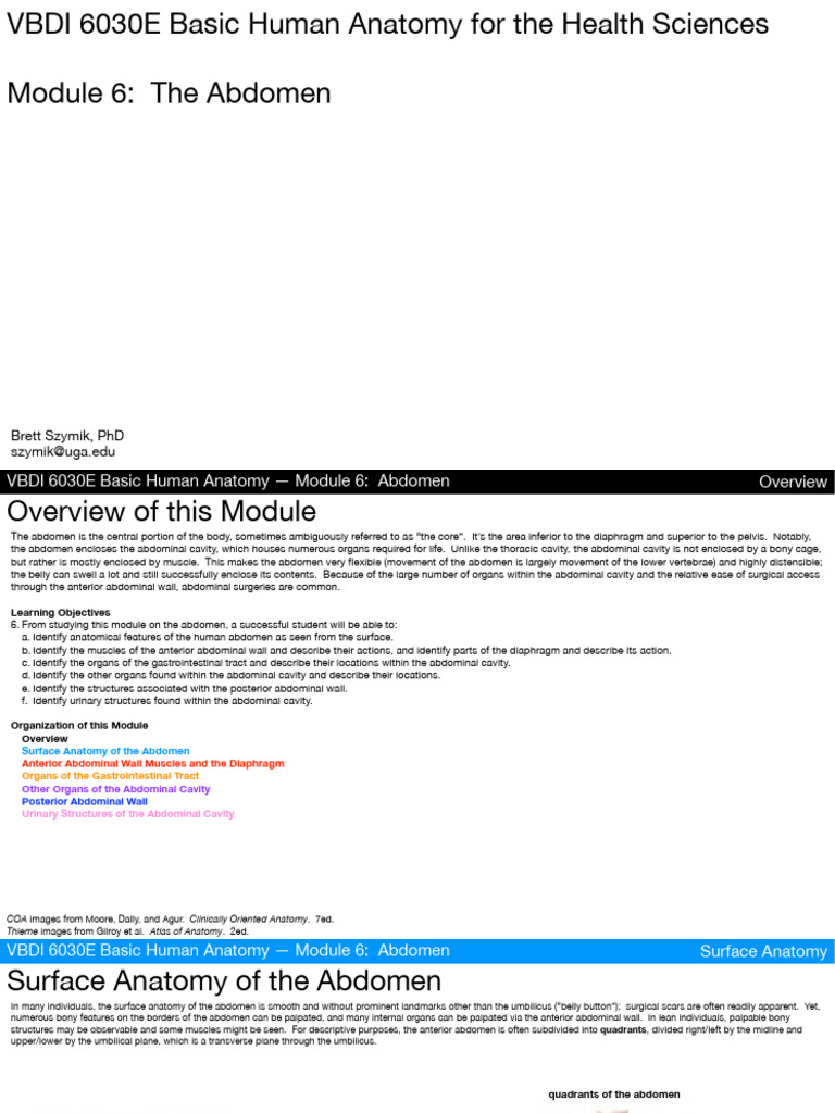 Module 6 Abdomen | PDF | Pancreas | Abdomen