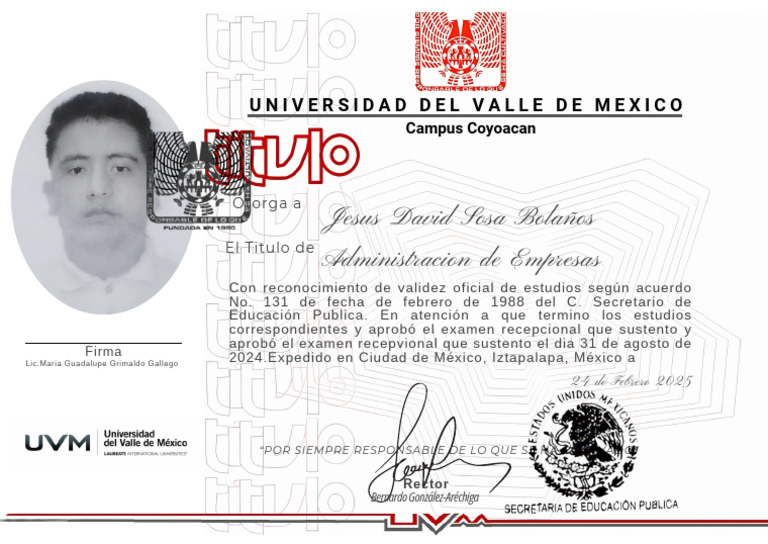 Titulo Uvm PDF | PDF