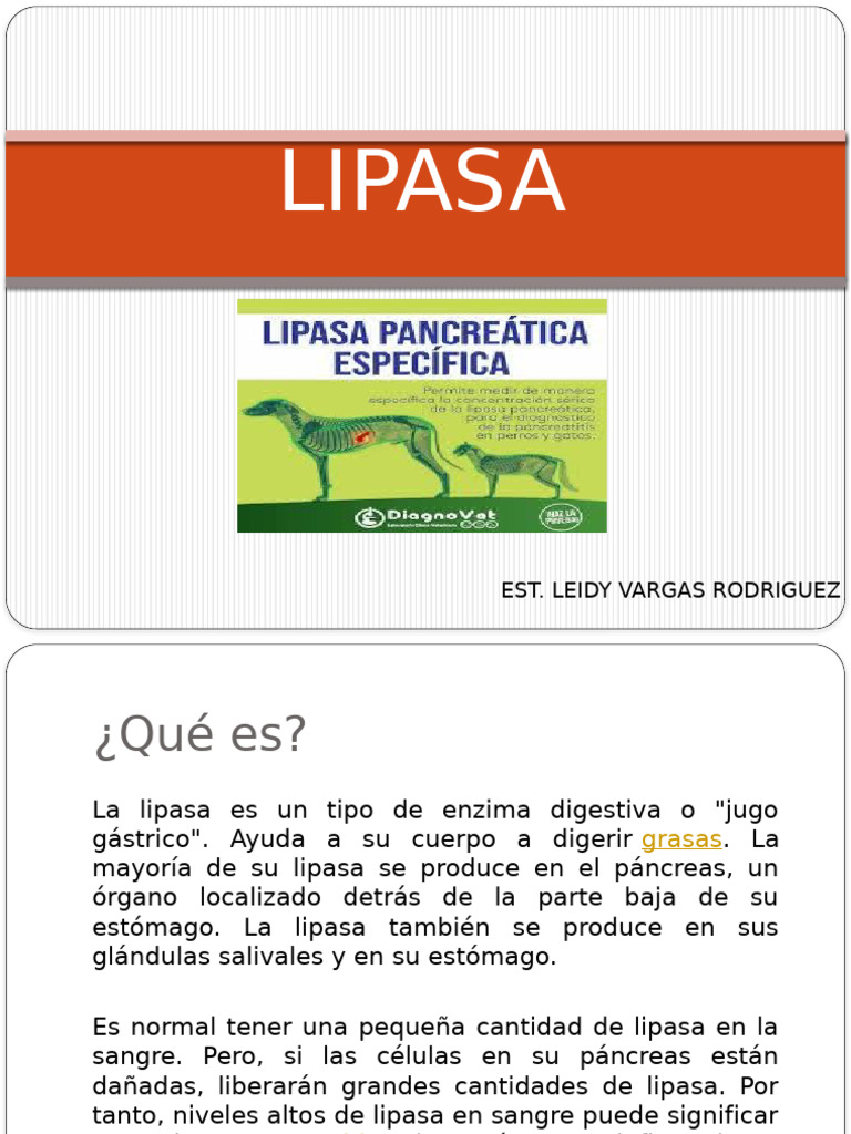 LIPASA | PDF | Páncreas | Digestión