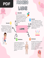 LADME | PDF | Farmacocinética | Excreción