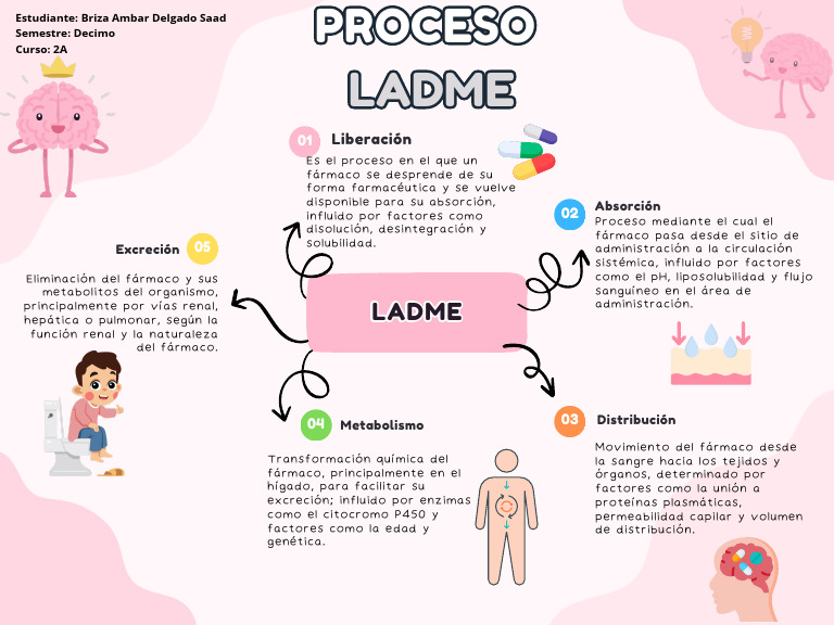 Proceso LADME | PDF | Especialidades Medicas | Farmacología