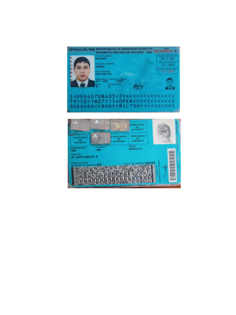 Guevara Cossio Rudy | PDF