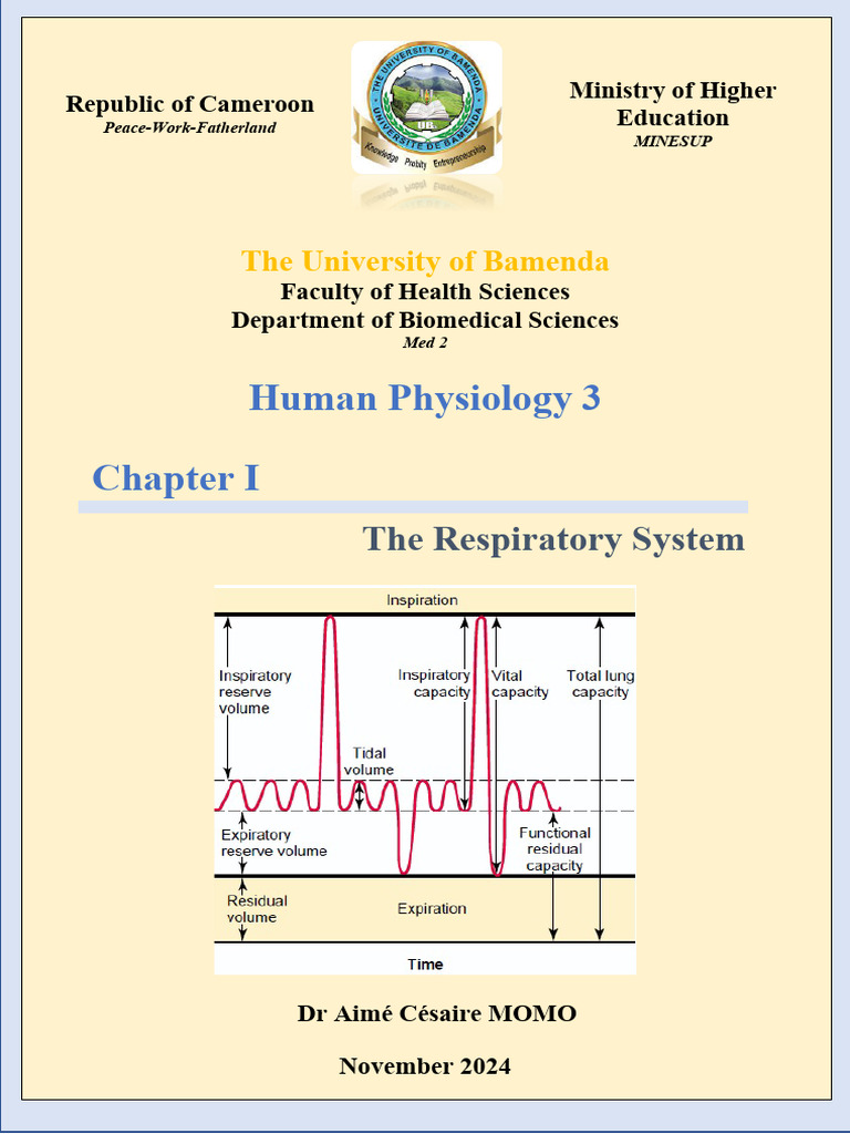Human Physiology: Respiratory System Overview | PDF | Lung ...