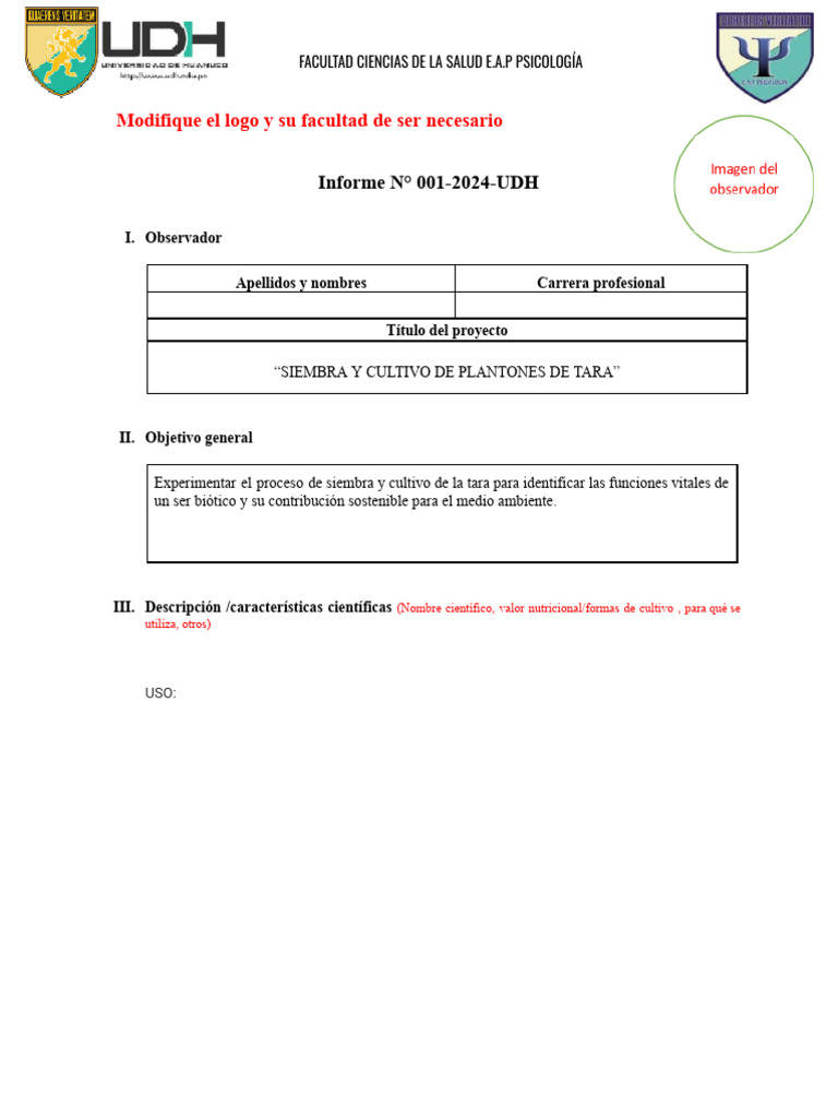 Formato de Informe | PDF