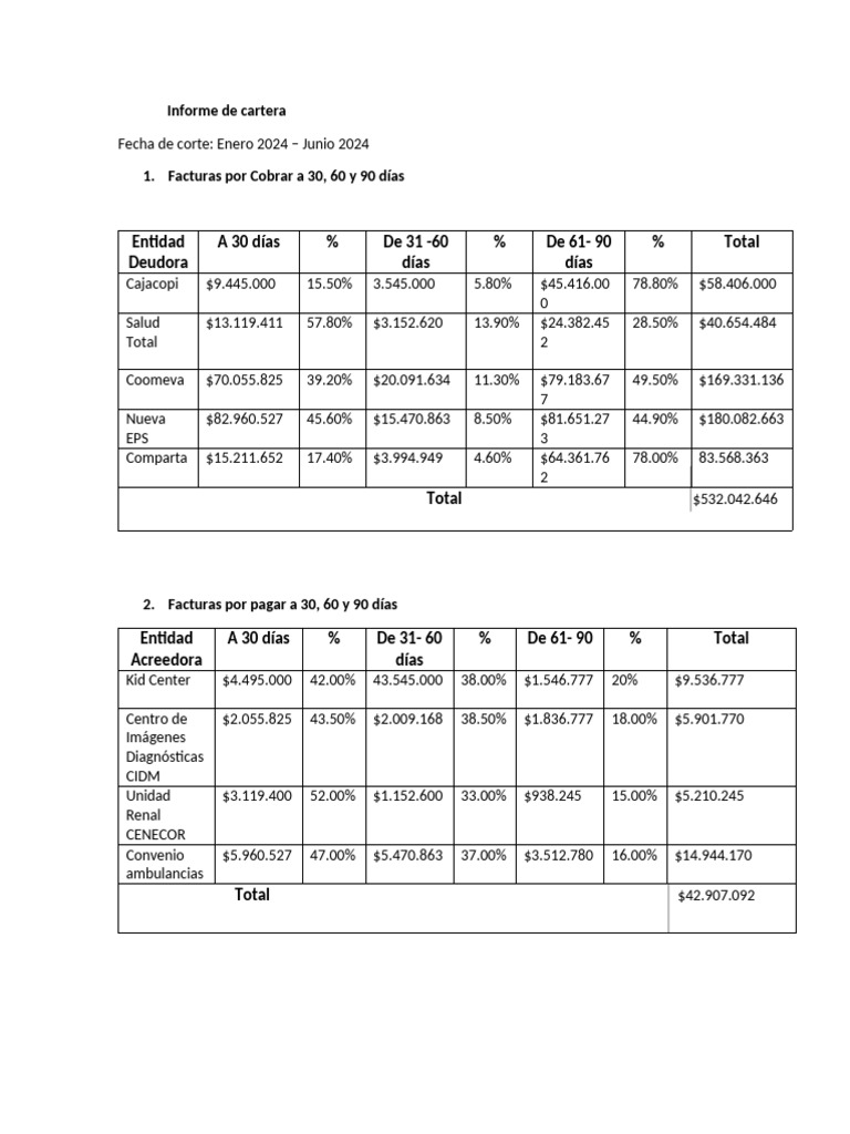 Informe de Cartera | PDF