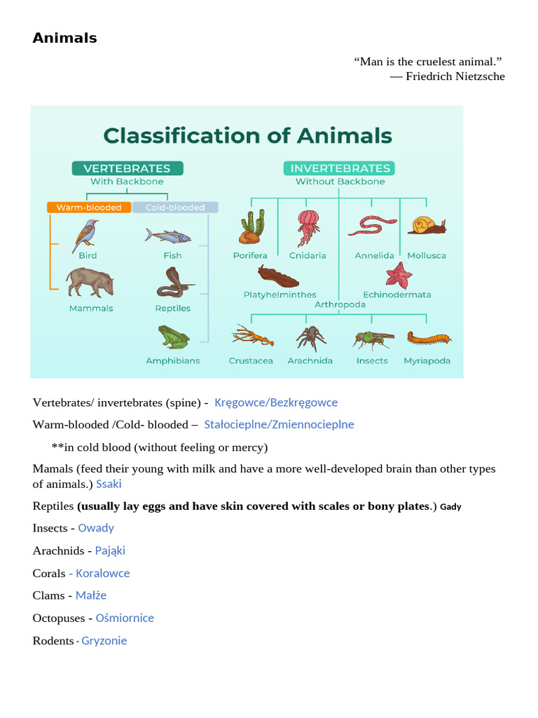 Animals | PDF | Mammals | Zoology