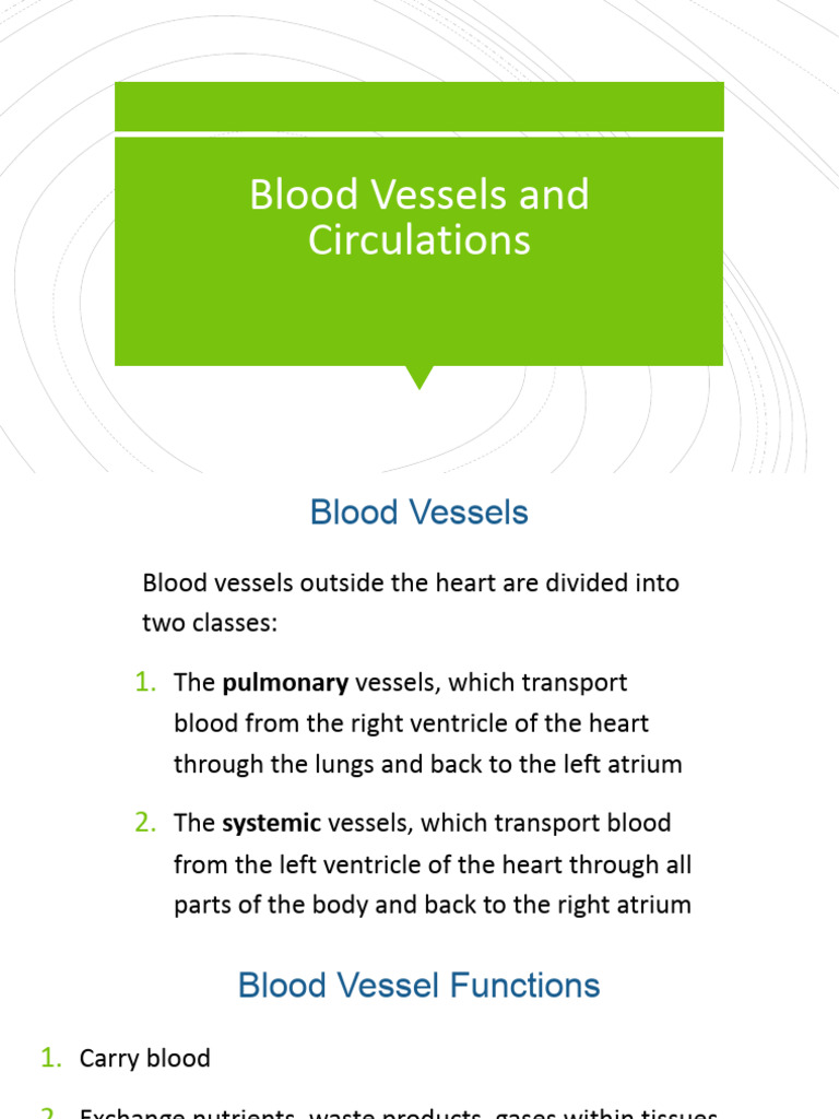 Blood Vessels and Circulations | PDF | Aorta | Vein