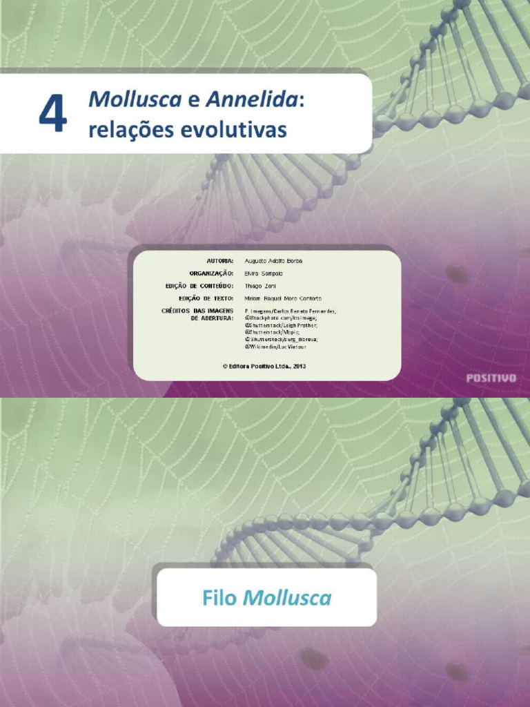 04 - Mollusca e Annelida | PDF