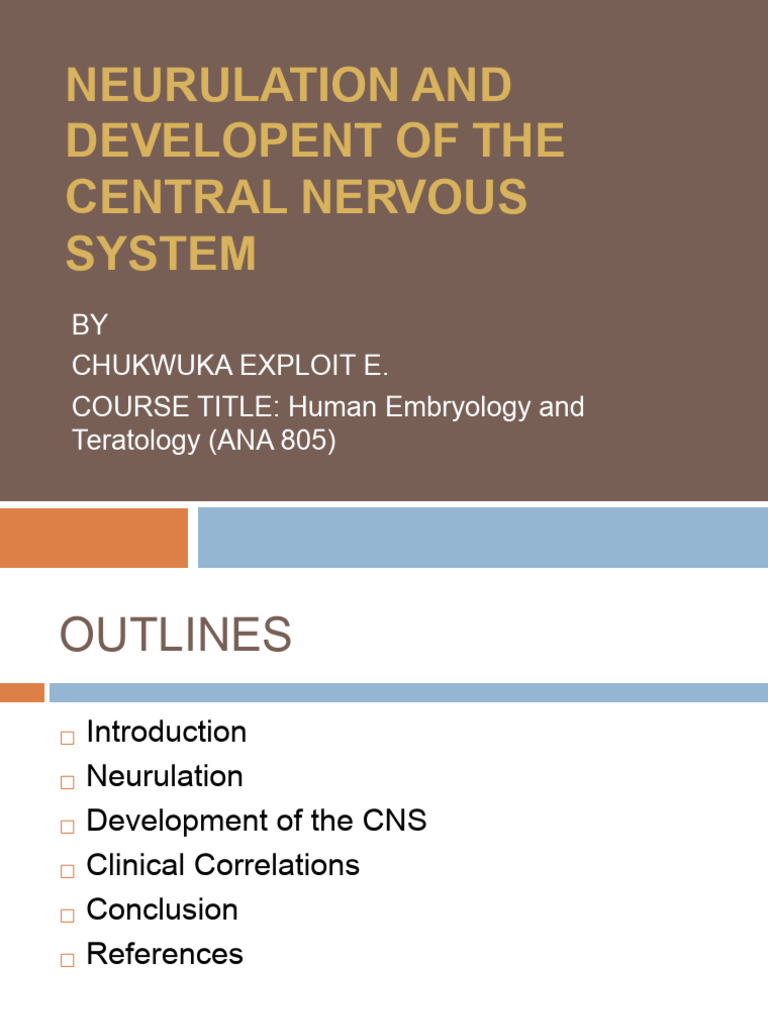 Copy1-NEURULATION AND DEVELOPENT OF THE CNS (ANA 805) | PDF | Spinal ...