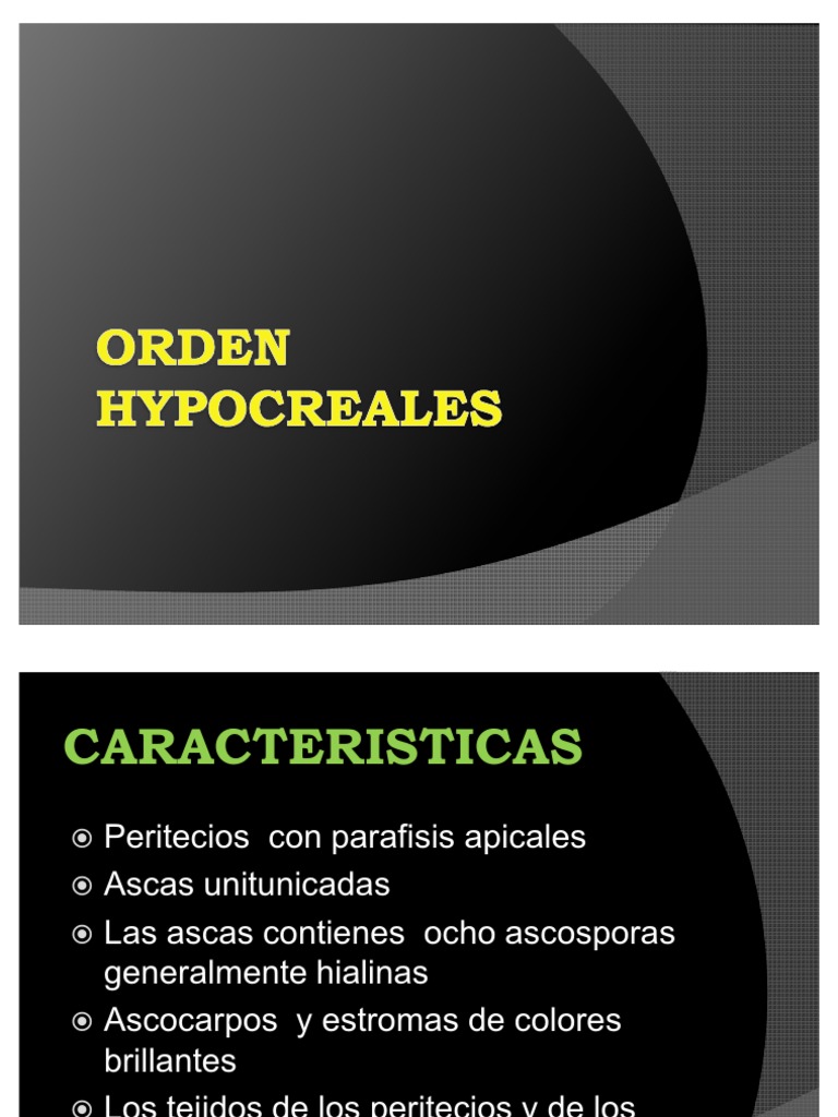 Orden Hypocreales | PDF