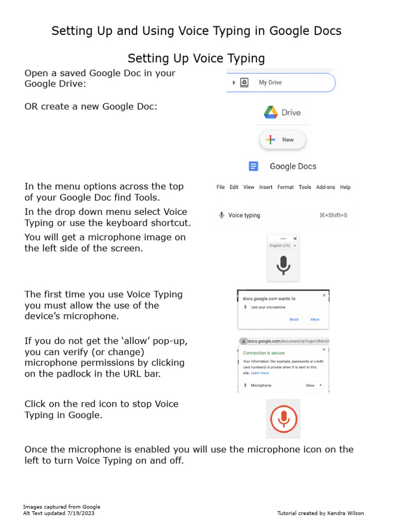 Setting Up and Using Voice Typing in Google Docs | PDF