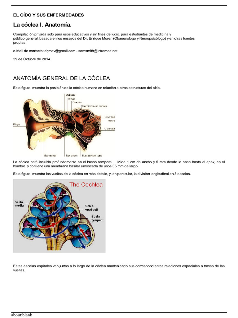 Jmav - El Oido Y Sus Enfermedades - para Medicos Y Publico General ...