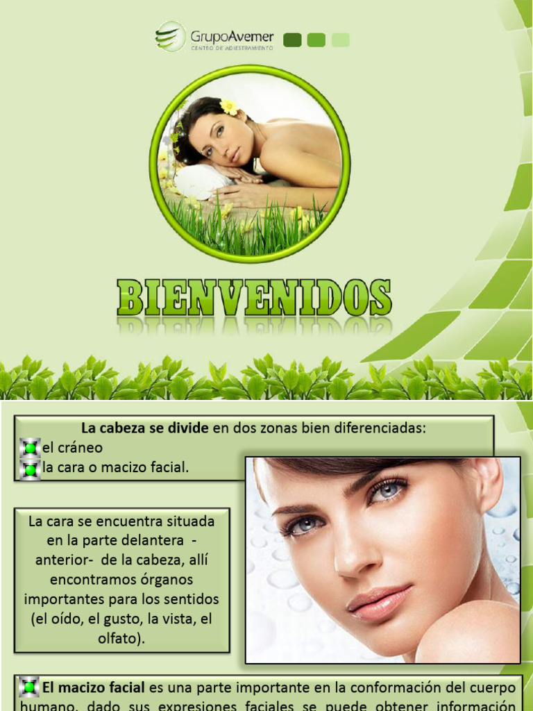 Anatomia Del Rostro | PDF | Anatomía humana | Cabeza y cuello humanos